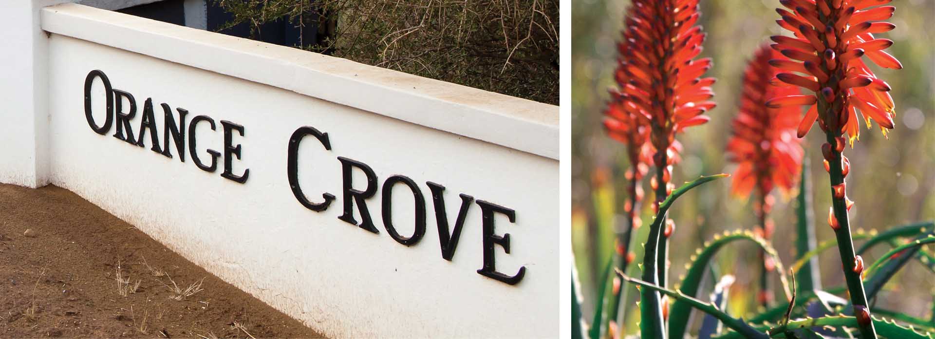 Homepage - iThemba Trust